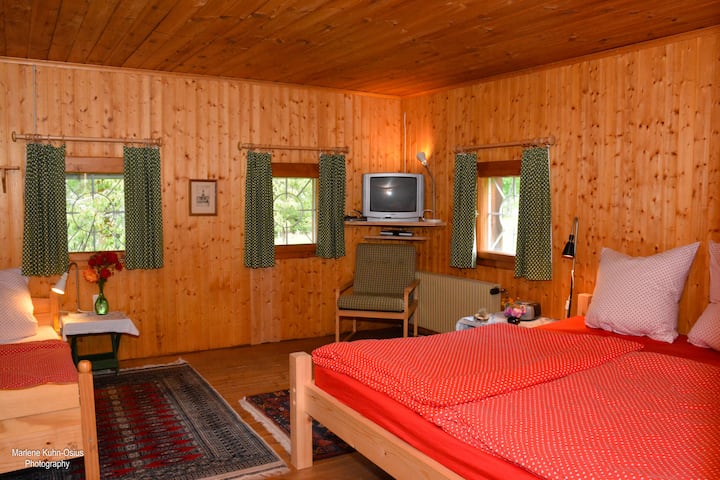 Lovely 1690th Century Farmhouse - Carinzia