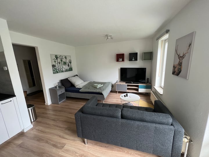 Gemütliches 1-raum Appartement - Dresden