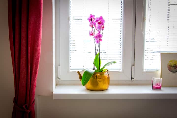 New Apartment In Old Town - With Fresh Flowers - Bratislava