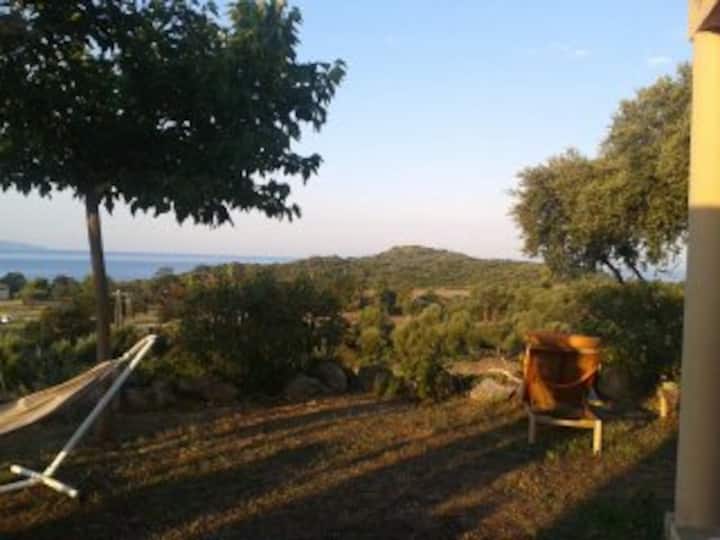 Maison En Campagne Vue Sur La Mer - Cargese