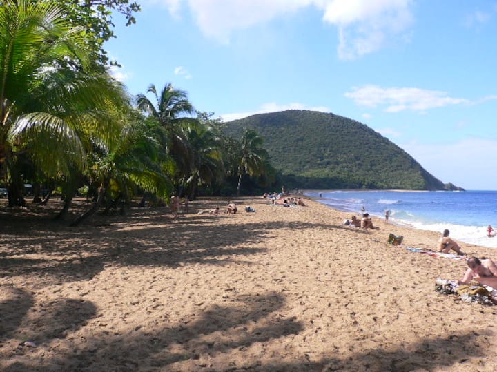Bungalow De Charme En Pleine Nature - Deshaies