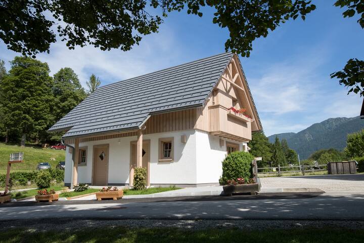 Lake Bohinj Apartment - Ribčev Laz