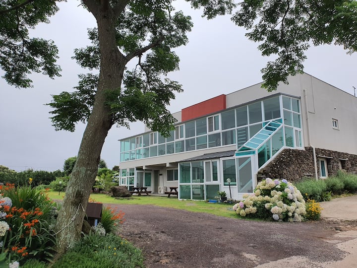 행복한 제주 여행 오색귤민박체험농장(반딧불이방) - Jeju-do