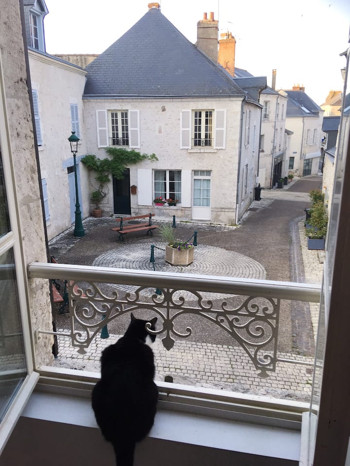 Large Town House At The Front Of The Castle - Meung-sur-Loire