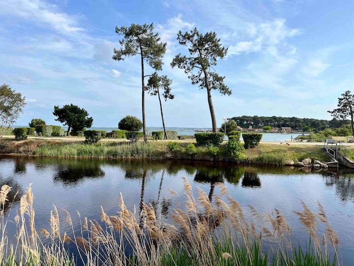 Mobil Home Standing Vue Bassin Lège-cap-ferret - Lège-Cap-Ferret