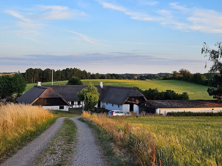 Bondegårdsophold Tæt På Strand Og Ebeltoft By - Ebeltoft