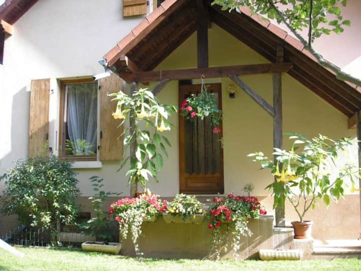 Les Ecureuils - Belfort