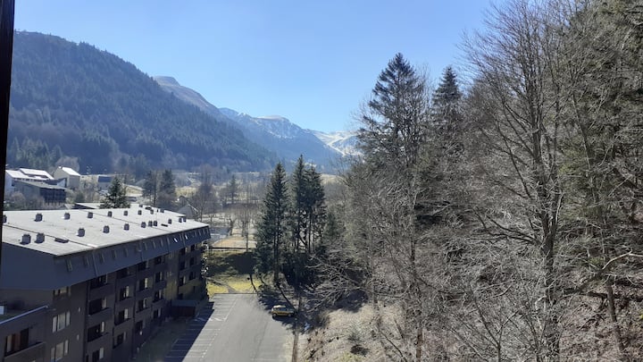 Le Pradet 513, Vue Sancy, Proche Centre Ville - Chambon-sur-Lac