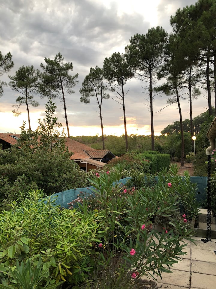 Maison Dans La Pinède Avec Piscine Proche Océan - Lacanau