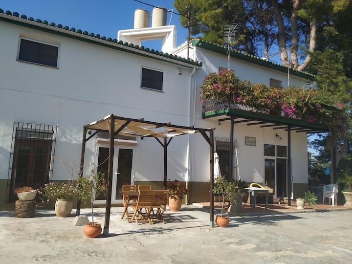 Casa Rural En Valencia (Oliva) - Oliva