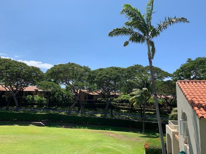 Beautiful - Palms At Wailea #1802 - Wailea, HI