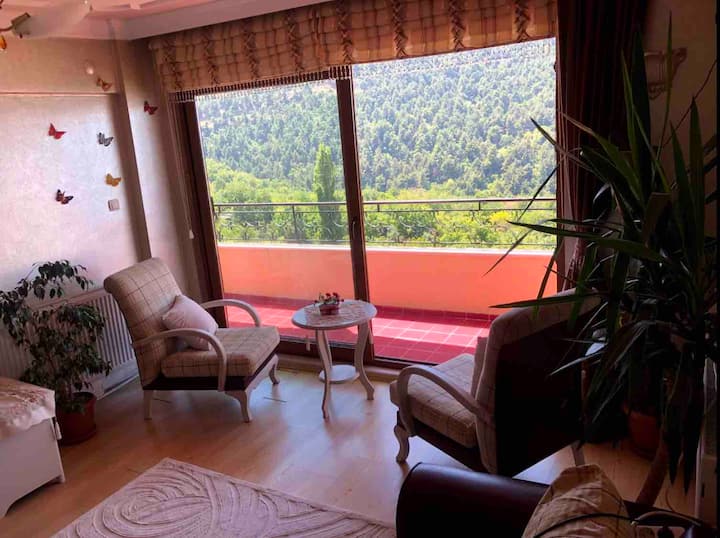 Manzaralı Daire - Nature And City View Apartment - Bursa
