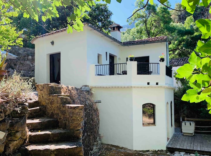 Refurbished Farmhouse El Pastor - Grazalema