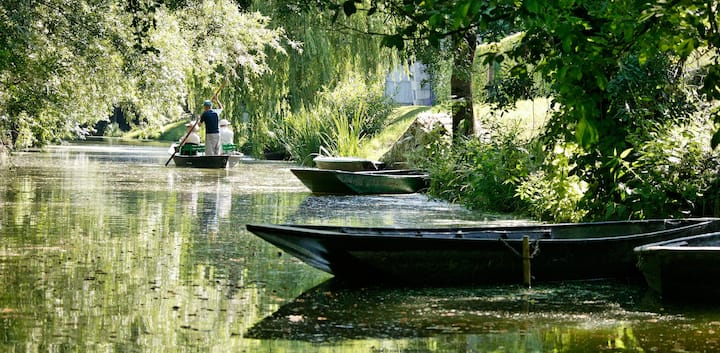 Chambre D'hotes Marais Poitevin Maillezais - Marais poitevin