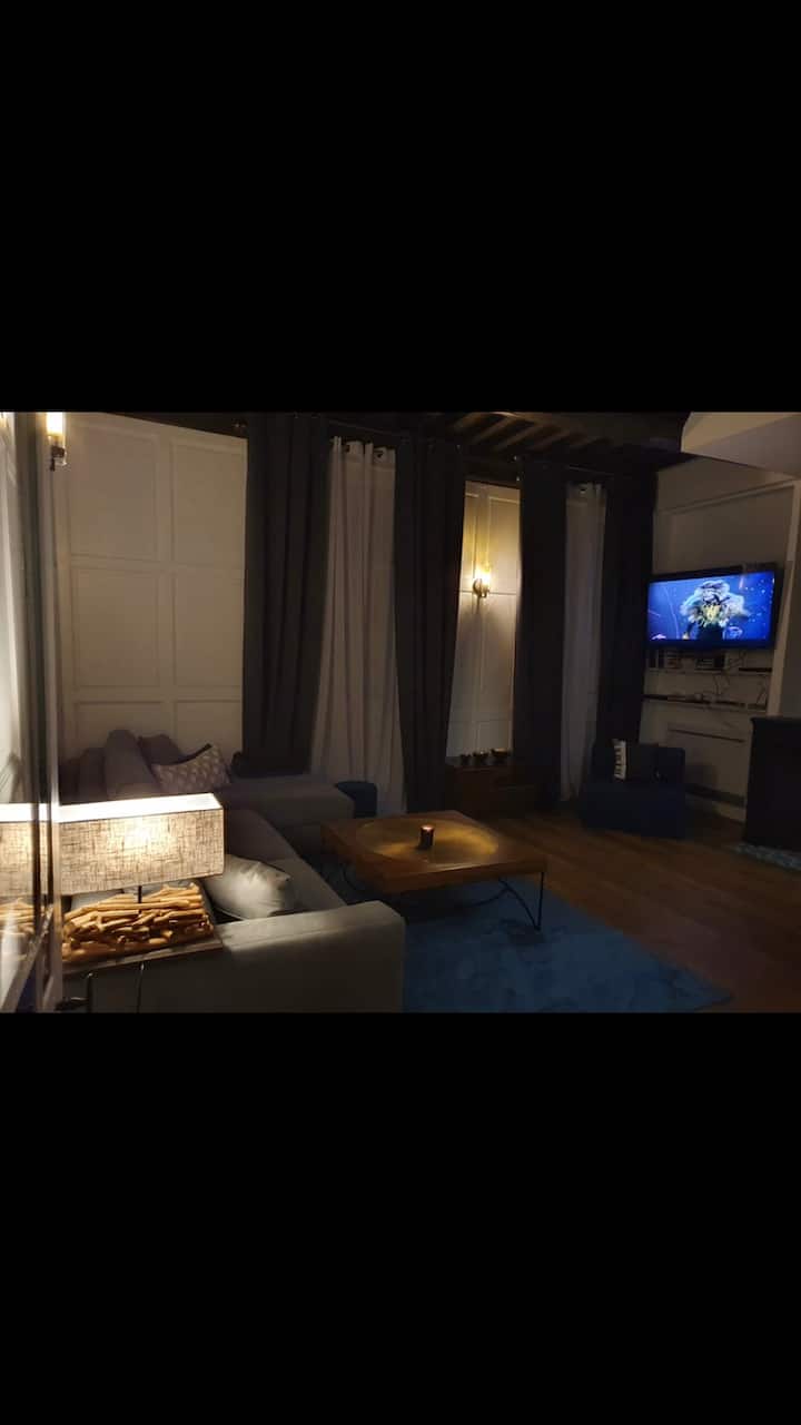 Bel Appartement Ancien Hyper Centre Nancy 67m2 - Nancy