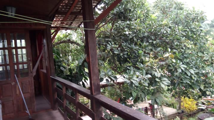 Se Hospede Em Contato Com A Natureza! - 桑塔納
