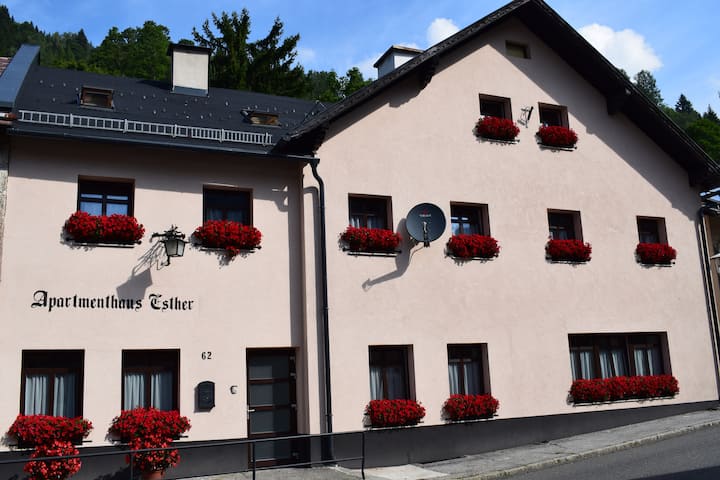 Apartmenthaus Esther Vi. - Mariapfarr