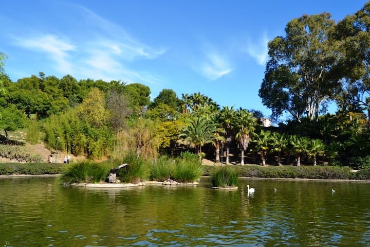 Aguila - Benalmádena