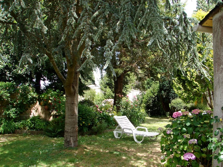 Studio Rez De Jardin Sur Petit Parc - Douarnenez