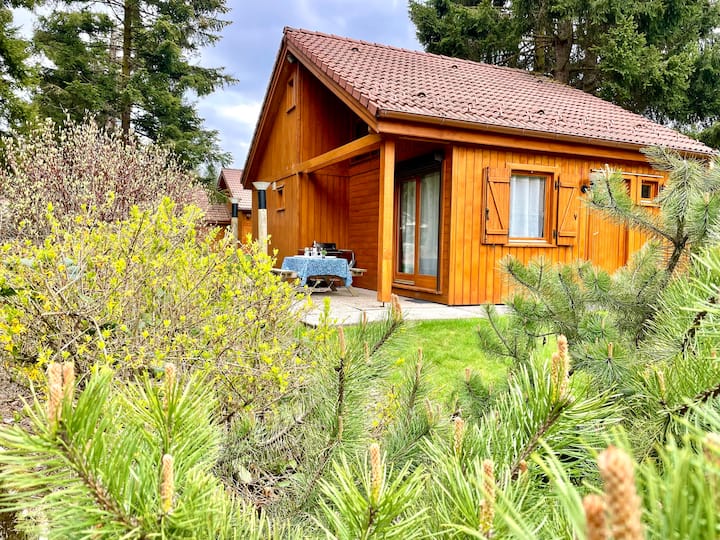Chalet Authentique 4 Gérardmer - 