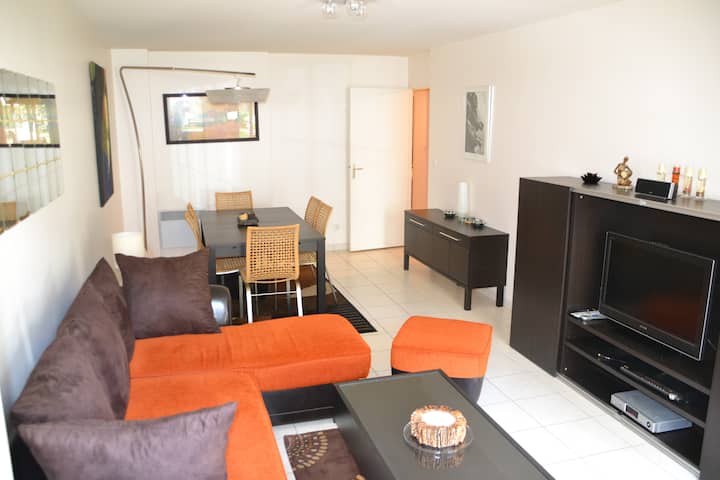 Voyage De Jade - Appartement Avec Terrasse/parking - Nantes