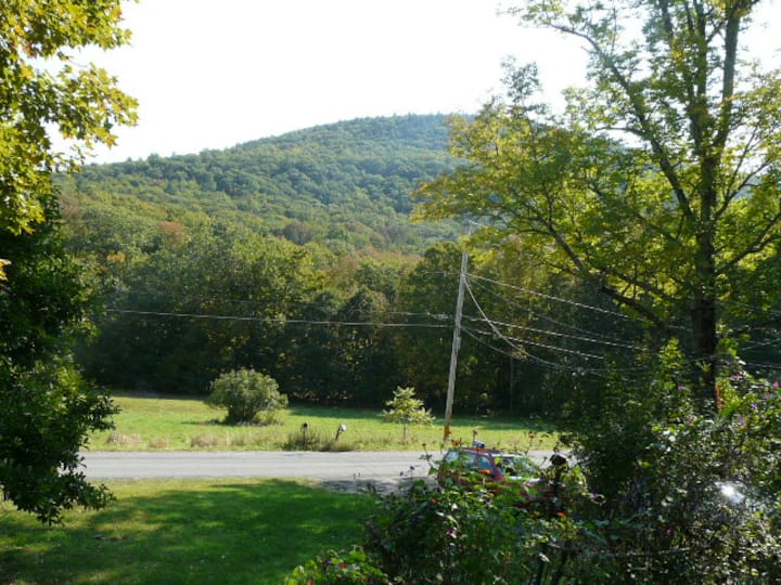 Woodstock Cottage W/ Mtn View - Woodstock, NY