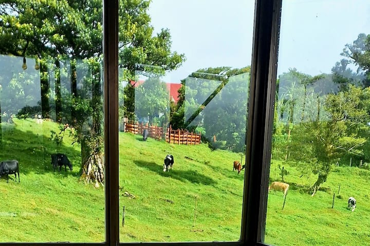 Monteverde Cloud Forest Tiny House Los Vientos - Costa Rica