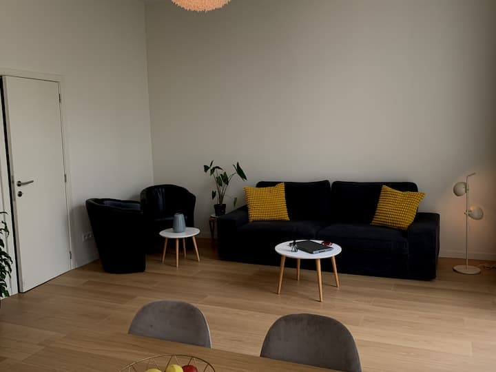 Appartement Bruxelles Gare Du Midi Tgv Eurostar - Brüsszel