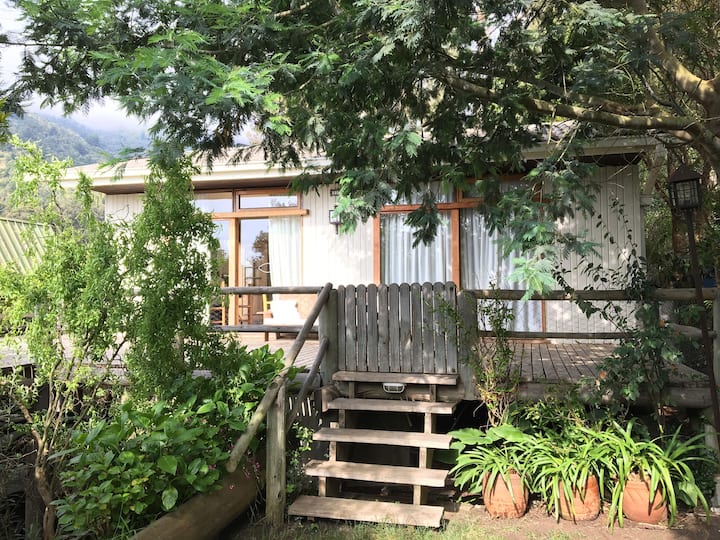Acogedora Casa En Zapallar - Zapallar