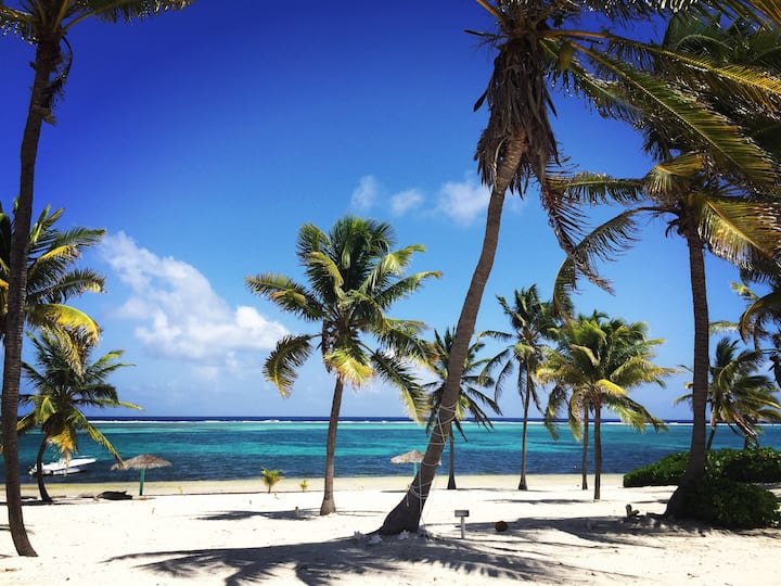 East End Beach House With Private Dock! - Cayman Islands