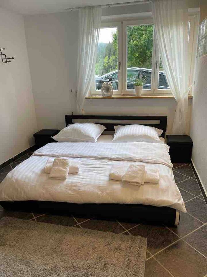 Greenhaus-studio Nähe Bärenpark & Freudenstadt - Bad Peterstal-Griesbach