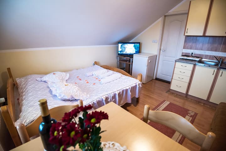 Cozy And Cheap Studio For 2 - Zlatibor