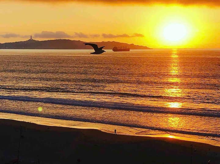 Acogedor Dpto Con Vista Al Mar En Primera Fila - La Serena