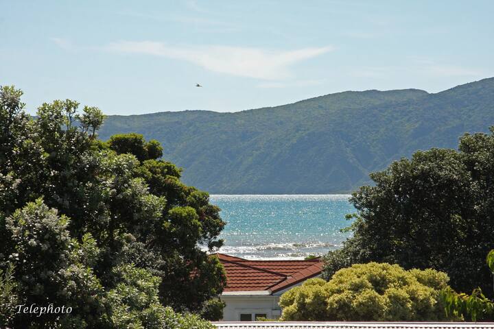 Classic 50’s Beach Bach - Handy To Everything - Paraparaumu