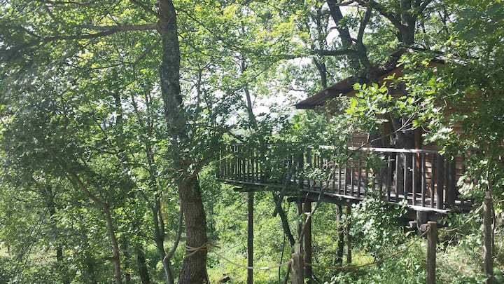 Magnifique Cabane Dans Les Arbres, Vue Panoramique - Digne