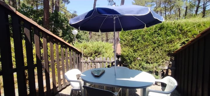 Studio Plain Pied + Terrasse Au Cœur De La Pinède - Lacanau Océan