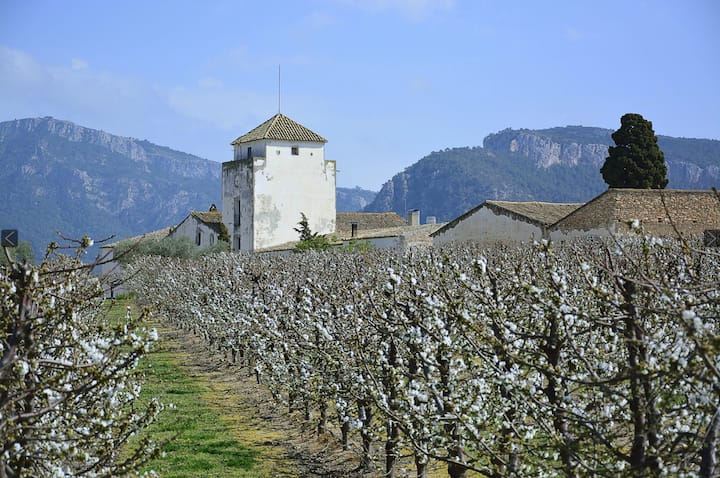 Finca Mas D'alerany- Pool Und Terrase - 8-16 Pax - Miravet