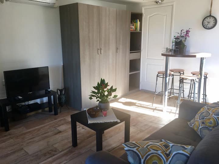 Appartement Au Calme Zen Et Lumières - Carmaux