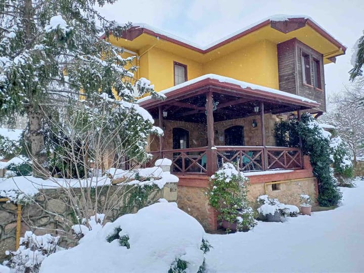 Taş Ile Ağacın Kaynaştığı  Yeşilin Harmonisi - Beykoz