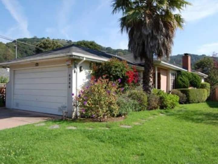 Knoll Avenue Modern - Piedmont, CA