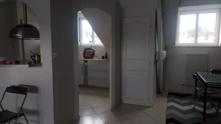 Un Nid Au Coeur De Ville - Épinal