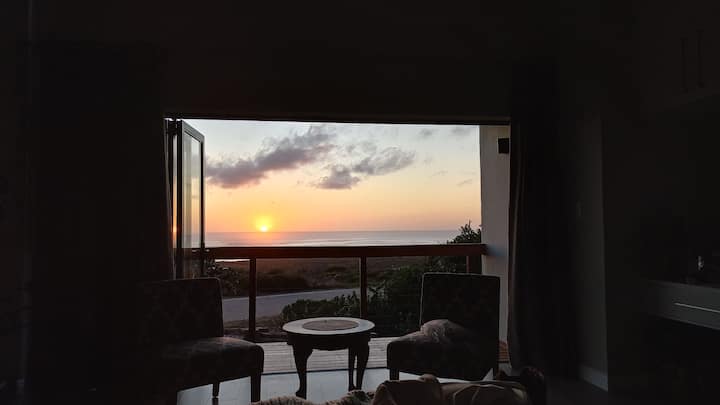 Super Skulpies! - Still Bay