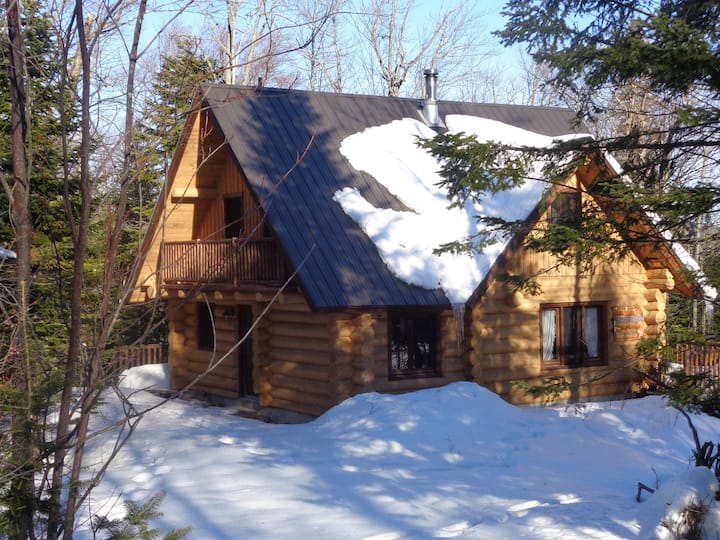 Chalet rustique en plein nature - Chalets à louer à Petite-Rivière ...