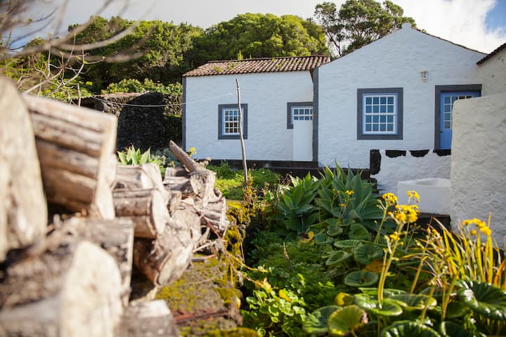 Glicínias Do Pico: Lilac House - Pico Island