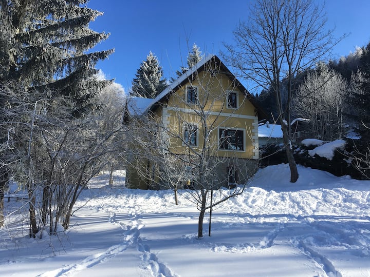Familien-apartment In Kleiner Waldvilla Semmering - Semmering-Kurort