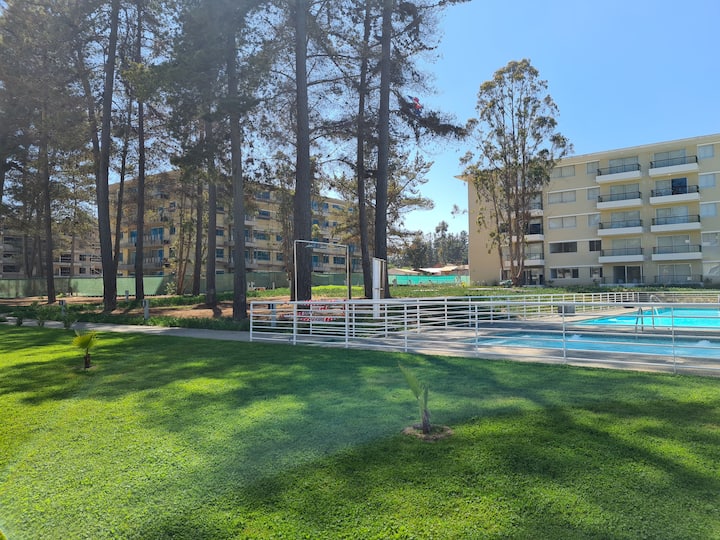 Amplio Dpto. 
Cercano Al Mar En Un Hermoso Bosque. - El Tabo