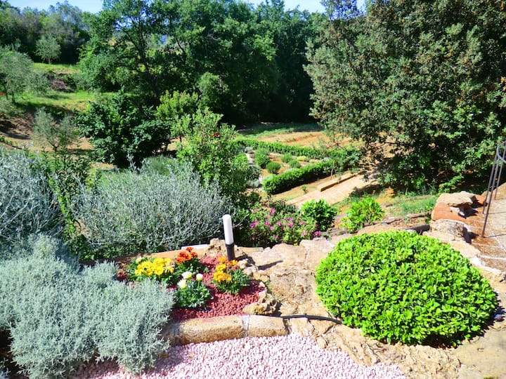 Appartamento Con Giardino In Agriturismo Bio - Cecina