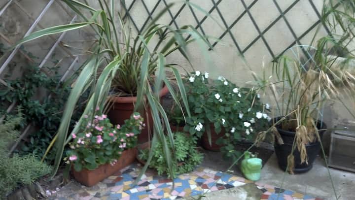 T1 Avec Jardin Centre De Toulouse - Tolosa, Francia