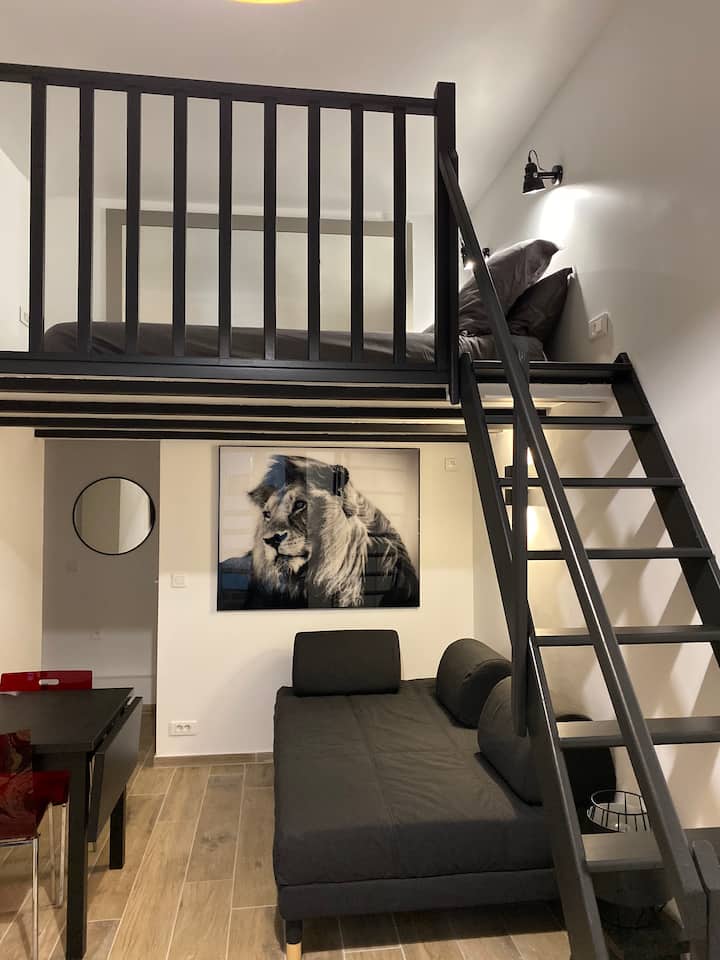 Lion Studio - Paris 12e Arrondissement