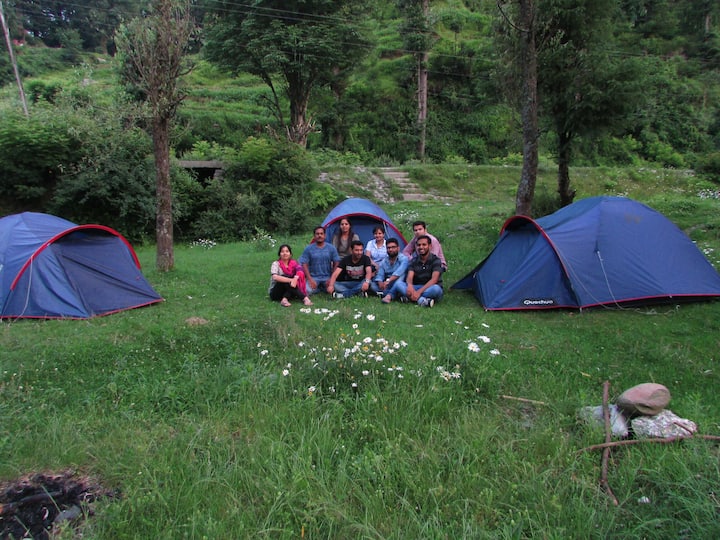 Indian Safari (Thandi Golai Camp) - Barot